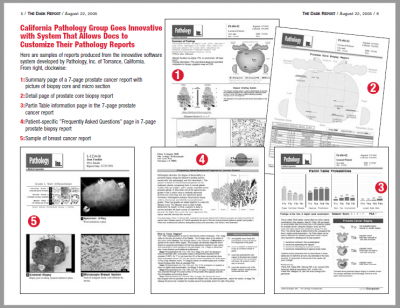 Innovative AP Reports Created by Path Group - The Dark Report